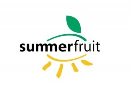 Productos | Summer Fruit