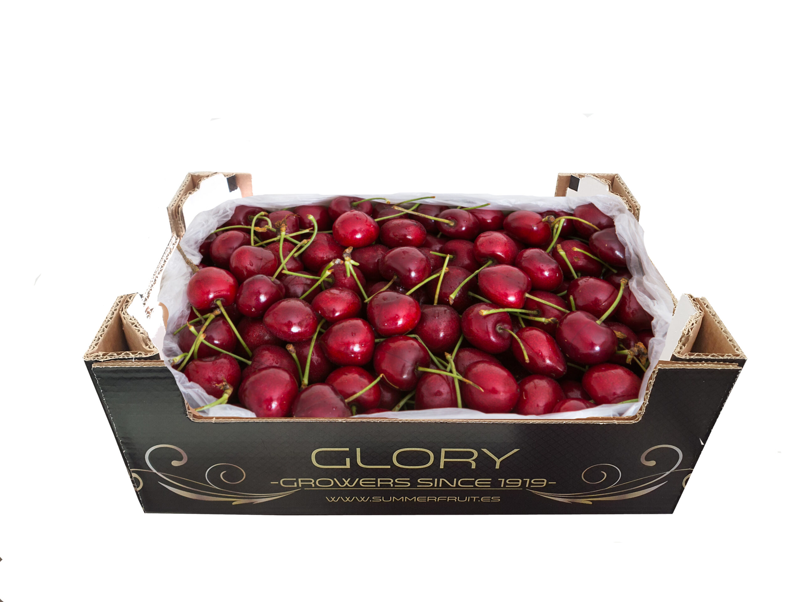 TIENDA ONLINE FRUTA FRESCA